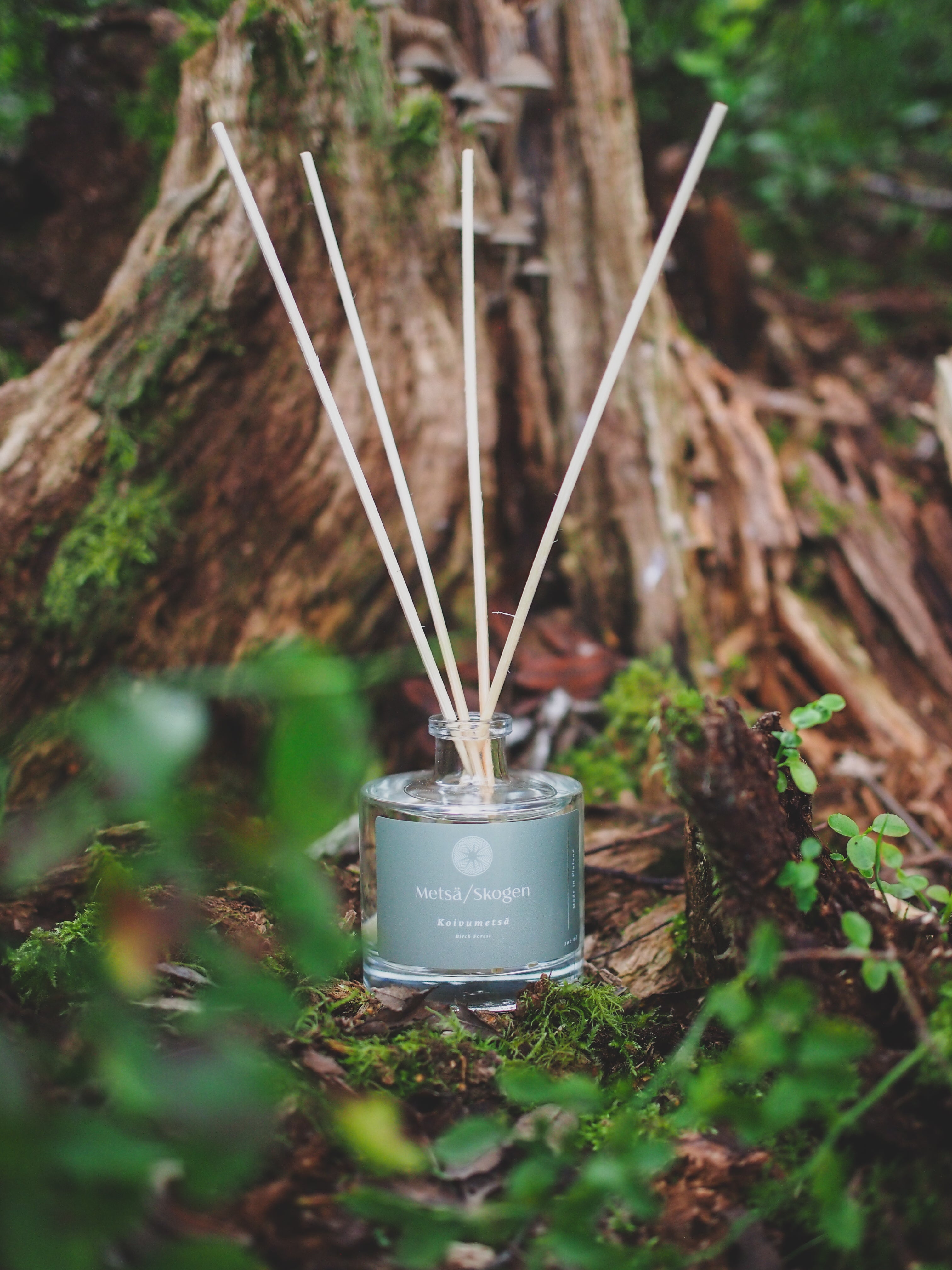 Metsä/Skogen Scent Diffuser | Embrace the Birch Essence 🍃