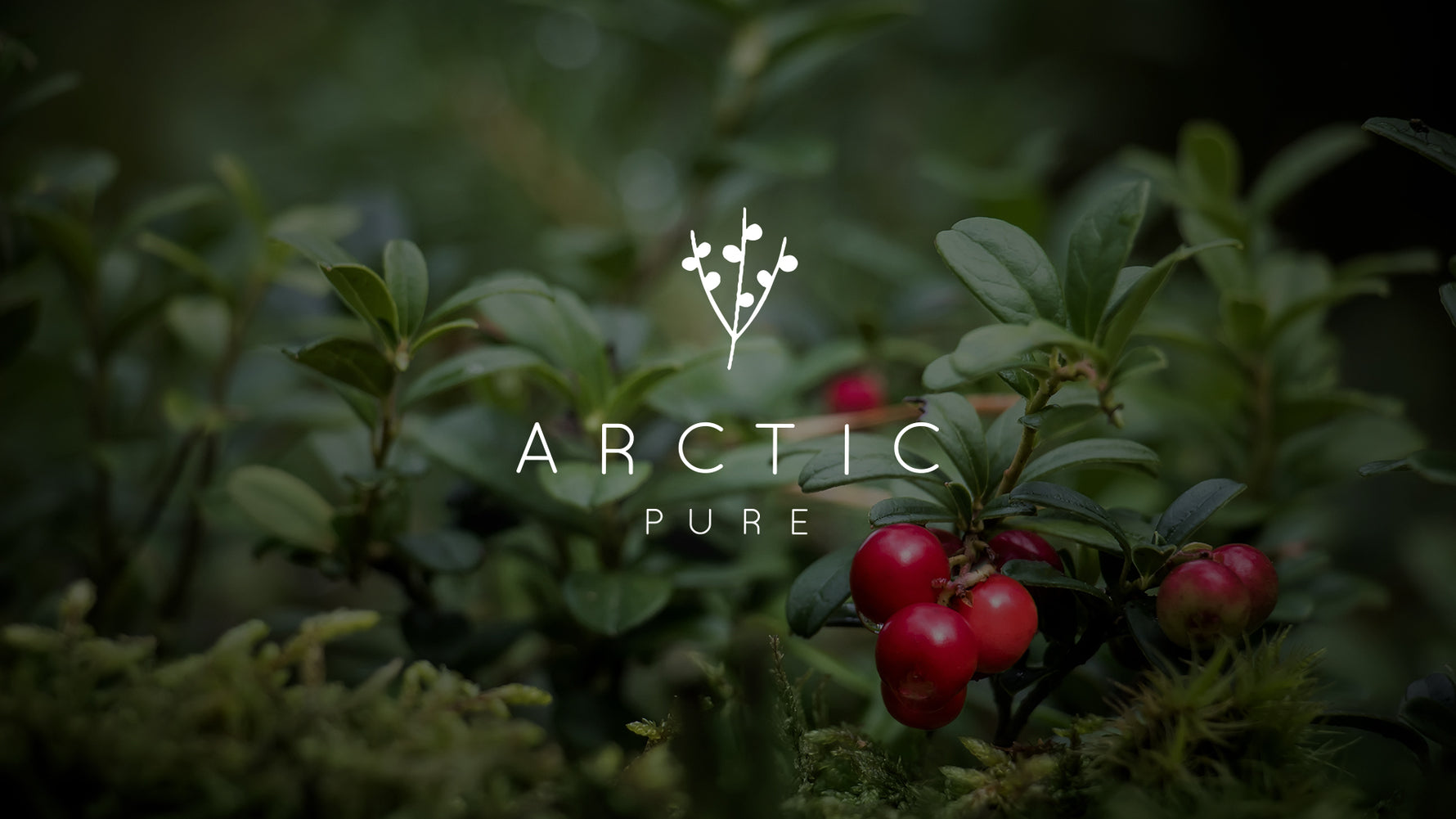 The Arctic Pure | Authentic Nordic Wellness & Supplements